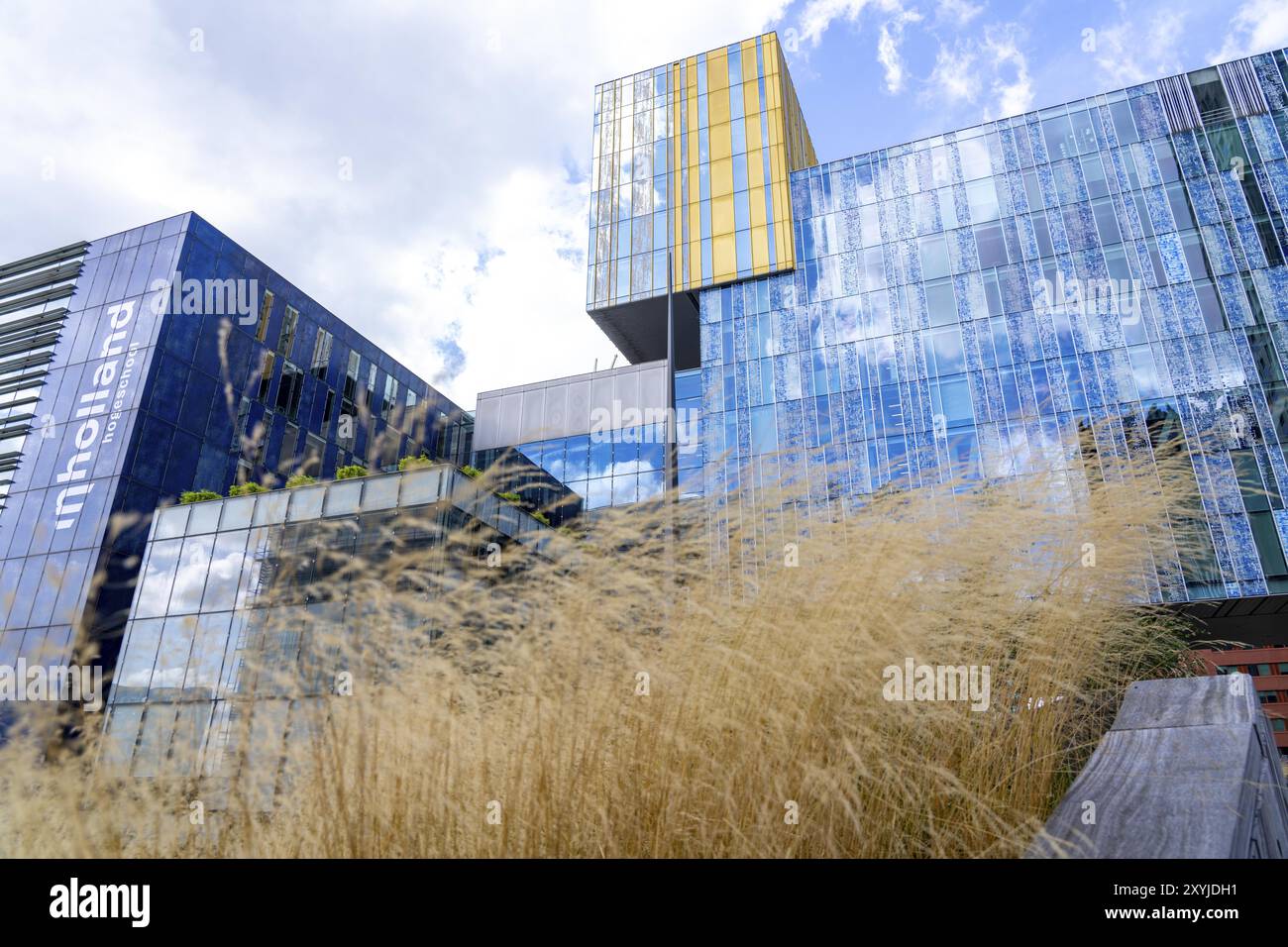 Green spaces around buildings, here at Hogeschool Inholland Rotterdam ...