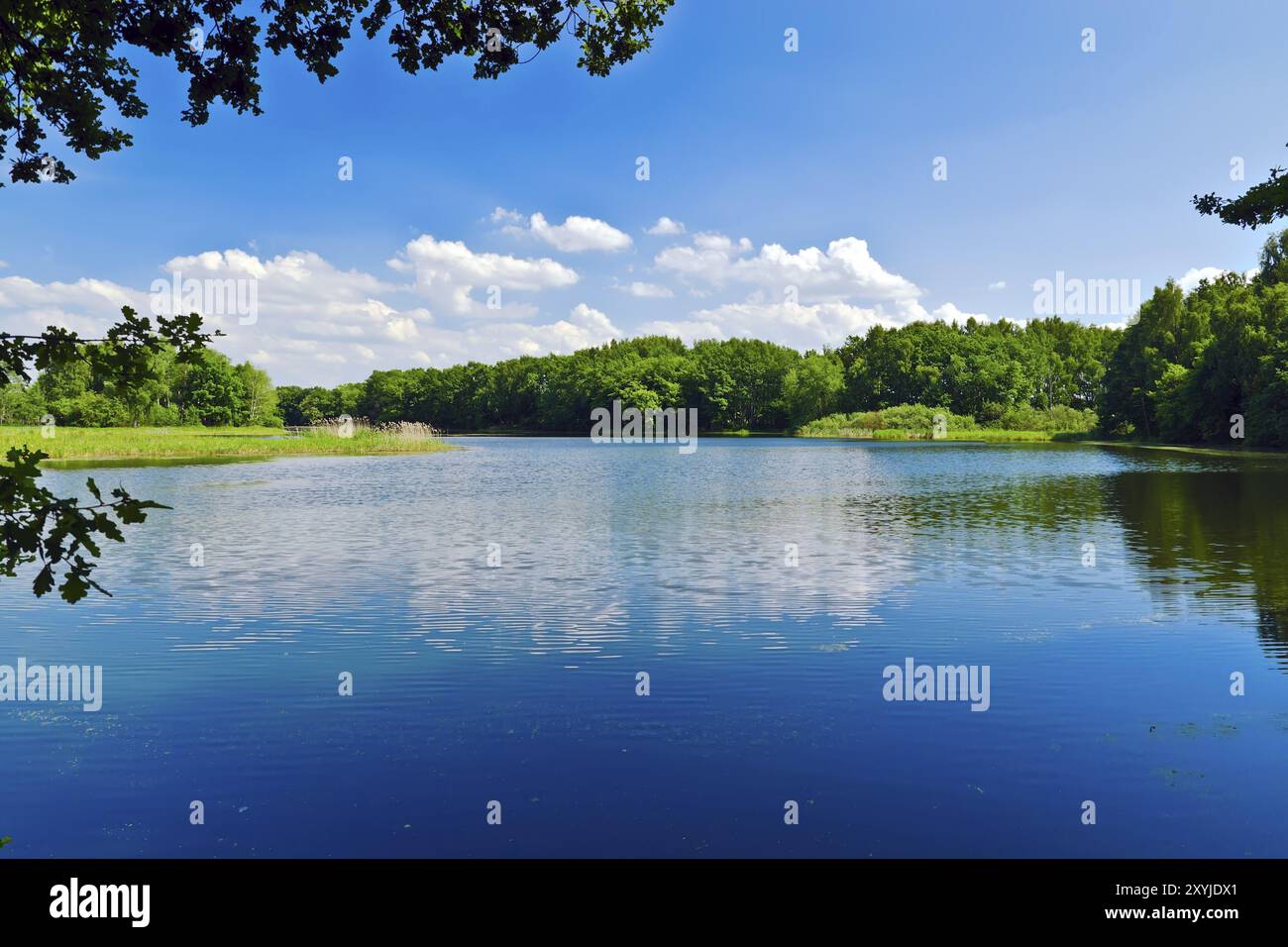 Beautiful blue forest lake with the reflection of the white clouds ...