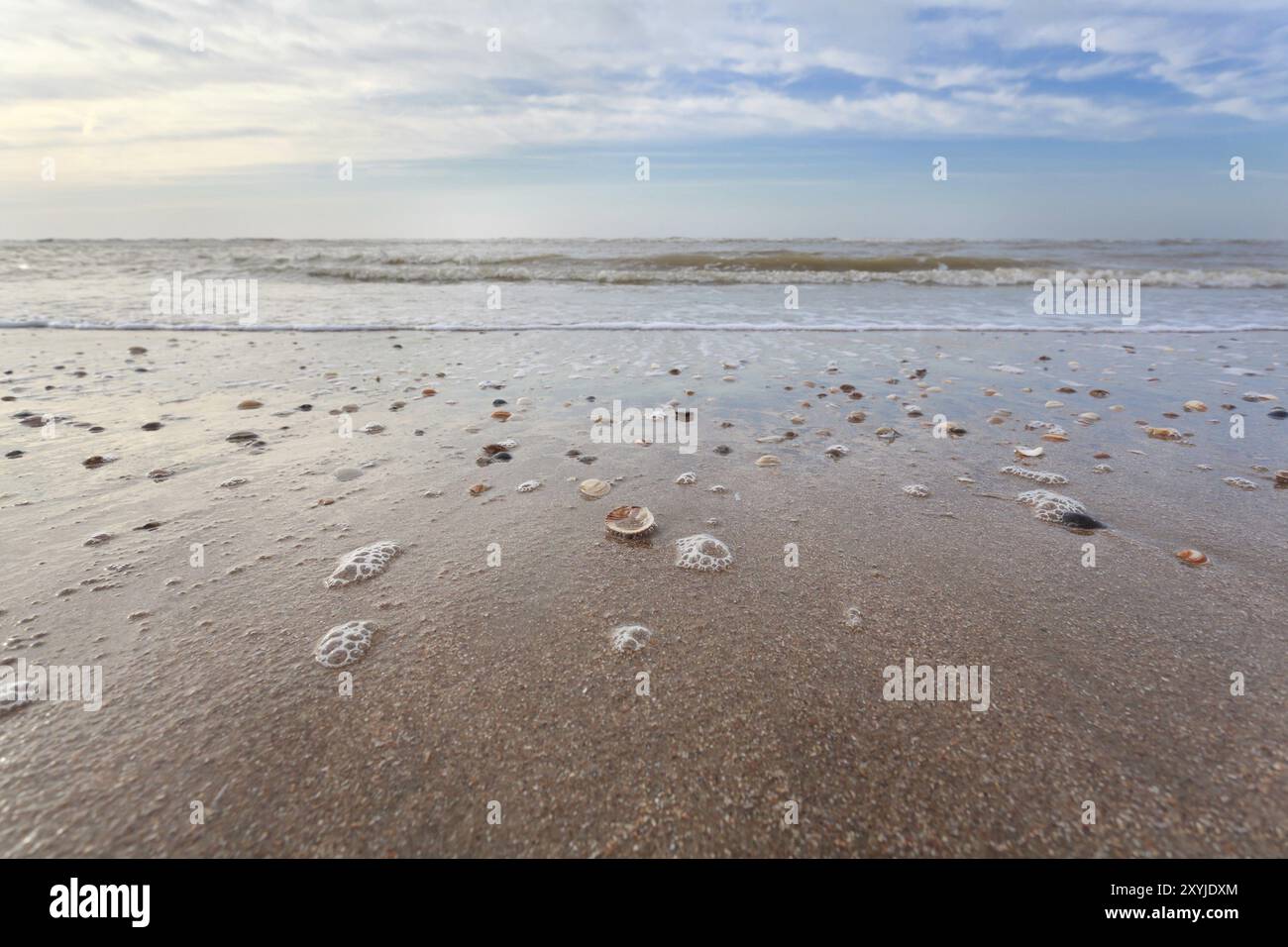 Sand beach at low tide on North sea, Zandvoort aan Zee, North Holland ...