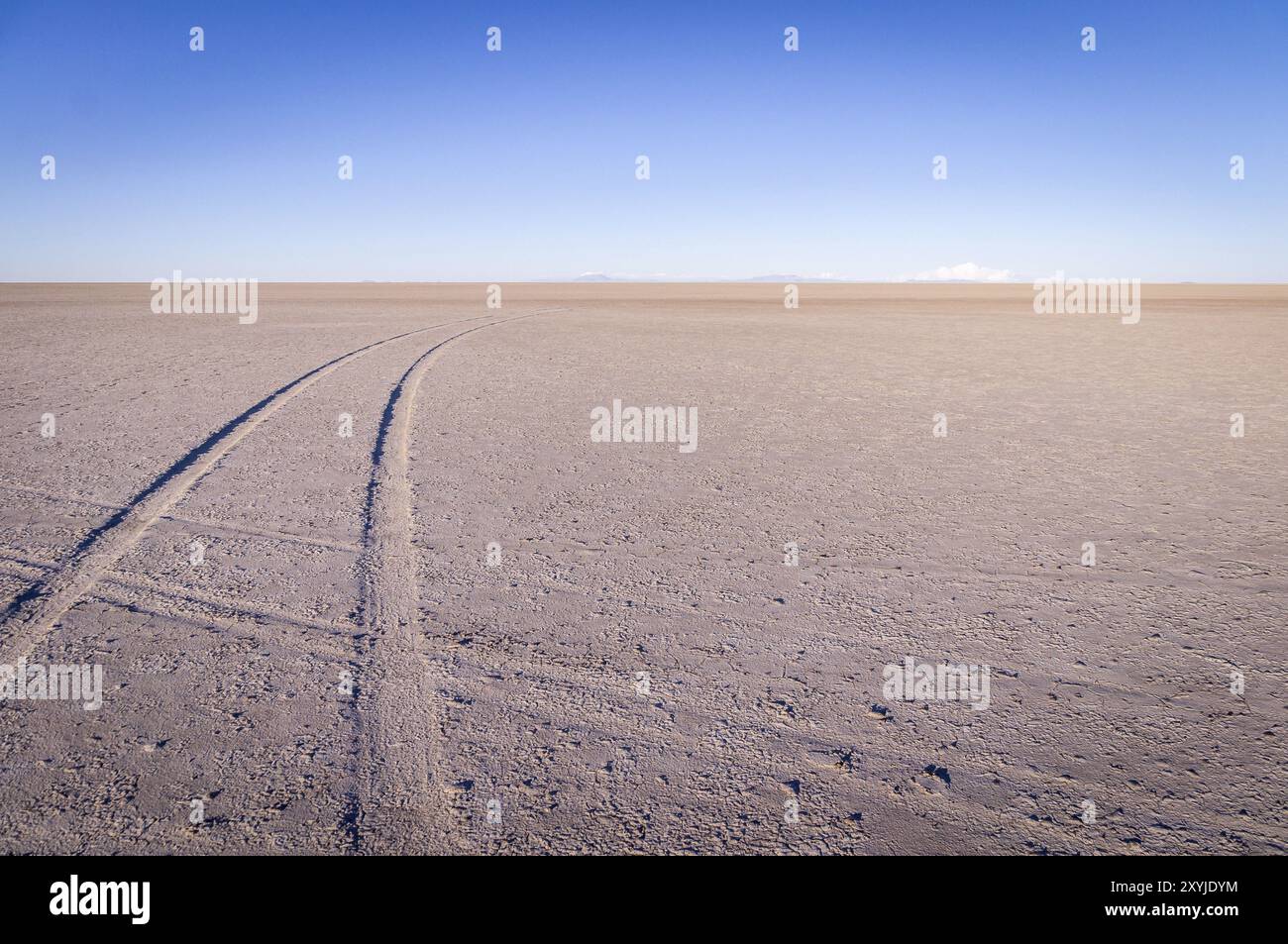 Car tracks on salt lake at Salar de Uyuni, Bolivia at sunrise Stock ...
