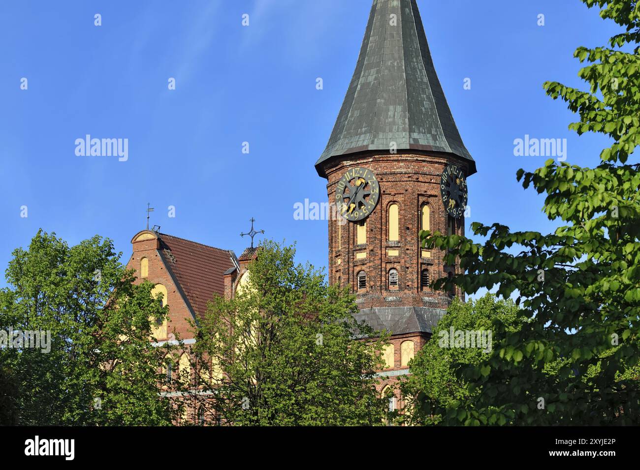 Koenigsberg Cathedral on the Kneiphof island. Kaliningrad (Koenigsberg ...