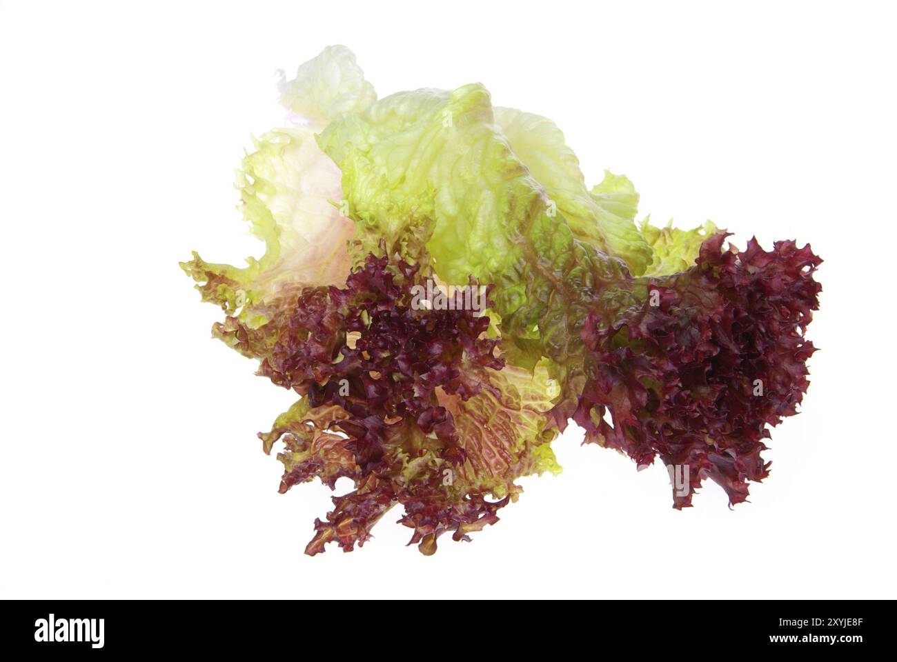 Pattern undulating Cut Out Stock Images & Pictures - Alamy