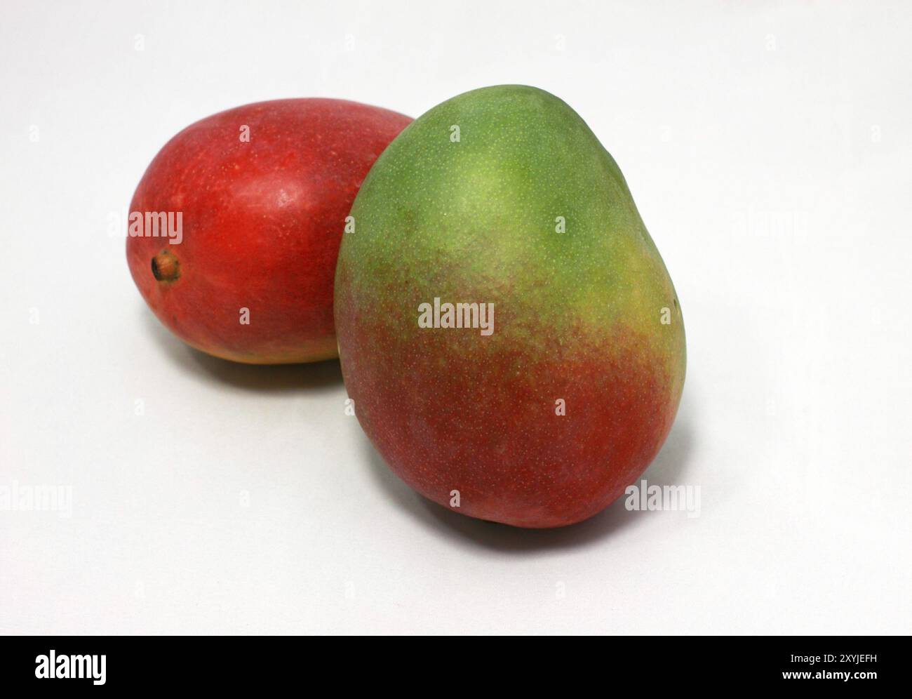 Mango fruits hi-res stock photography and images - Alamy