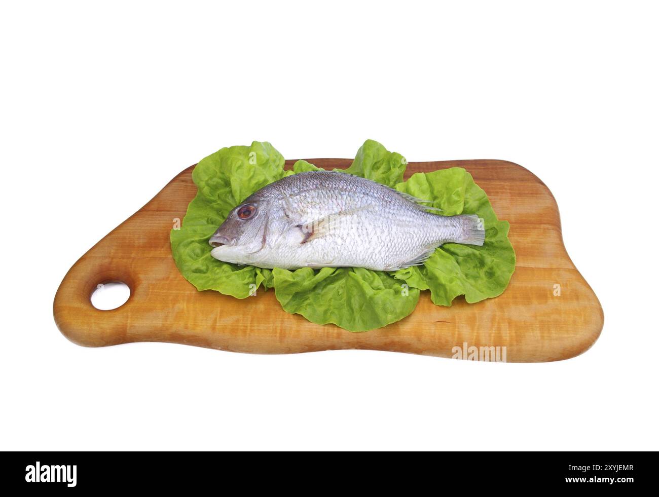 Sea bream, Gilt head bream 15 Stock Photo - Alamy