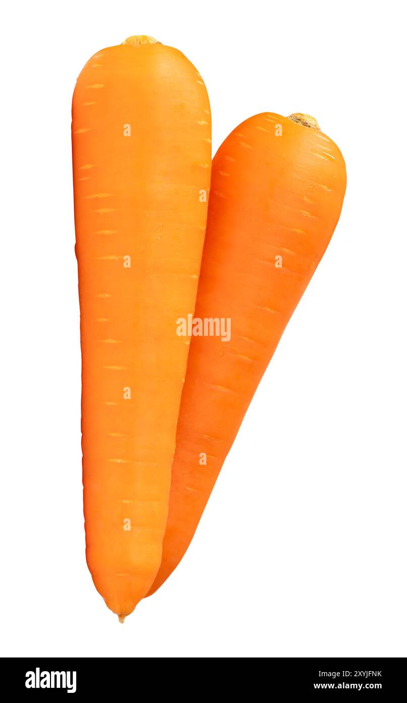 Two roots of fresh orange carrot in stack are isolated on white ...