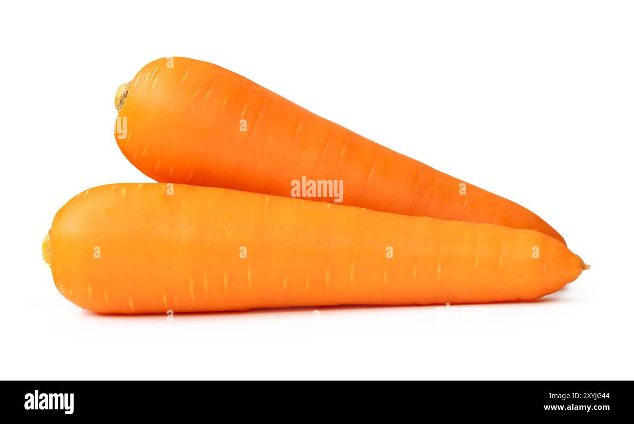 Side view of two roots of fresh orange carrot in stack is isolated on ...