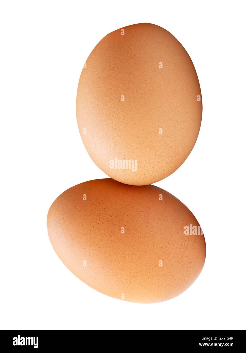 Two fresh brown chicken eggs in stack are isolated on white background ...
