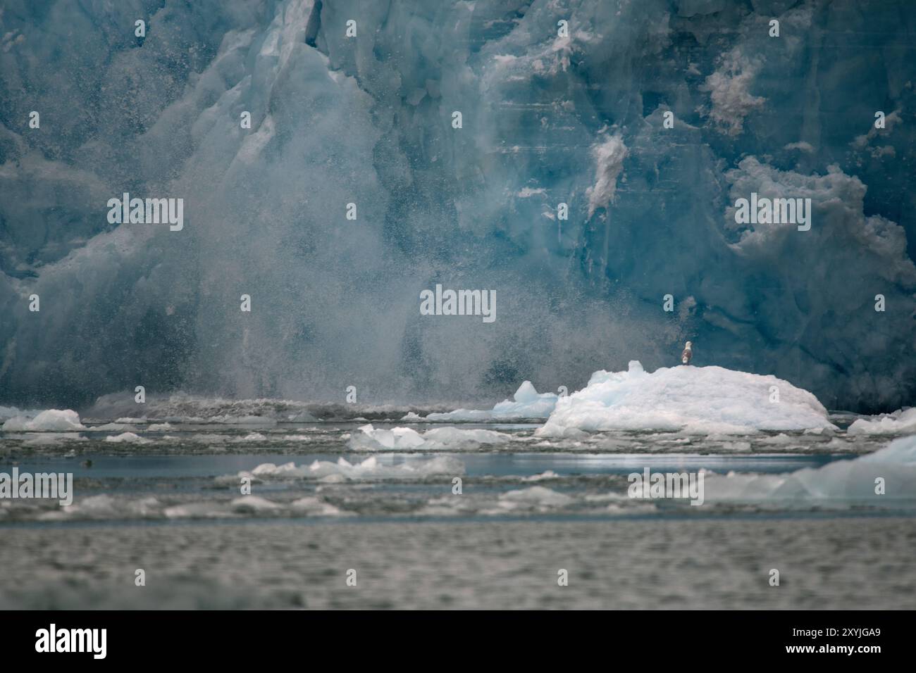 Calving - Iceberg formation on cracking of the glacier - Monacobreen ...