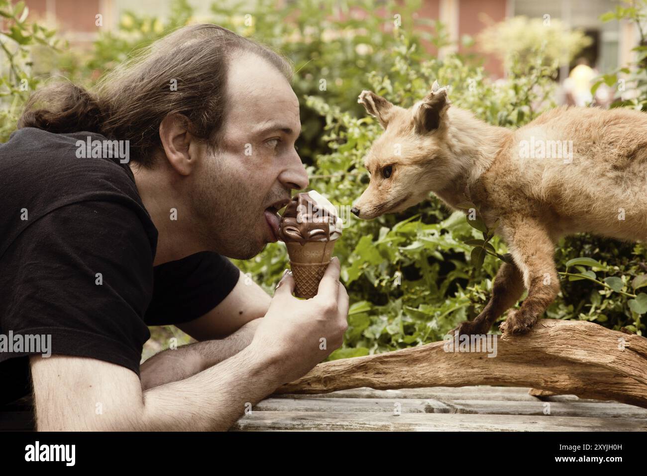 A fox is envious of soft ice cream a fox is envious of soft ice cream ...