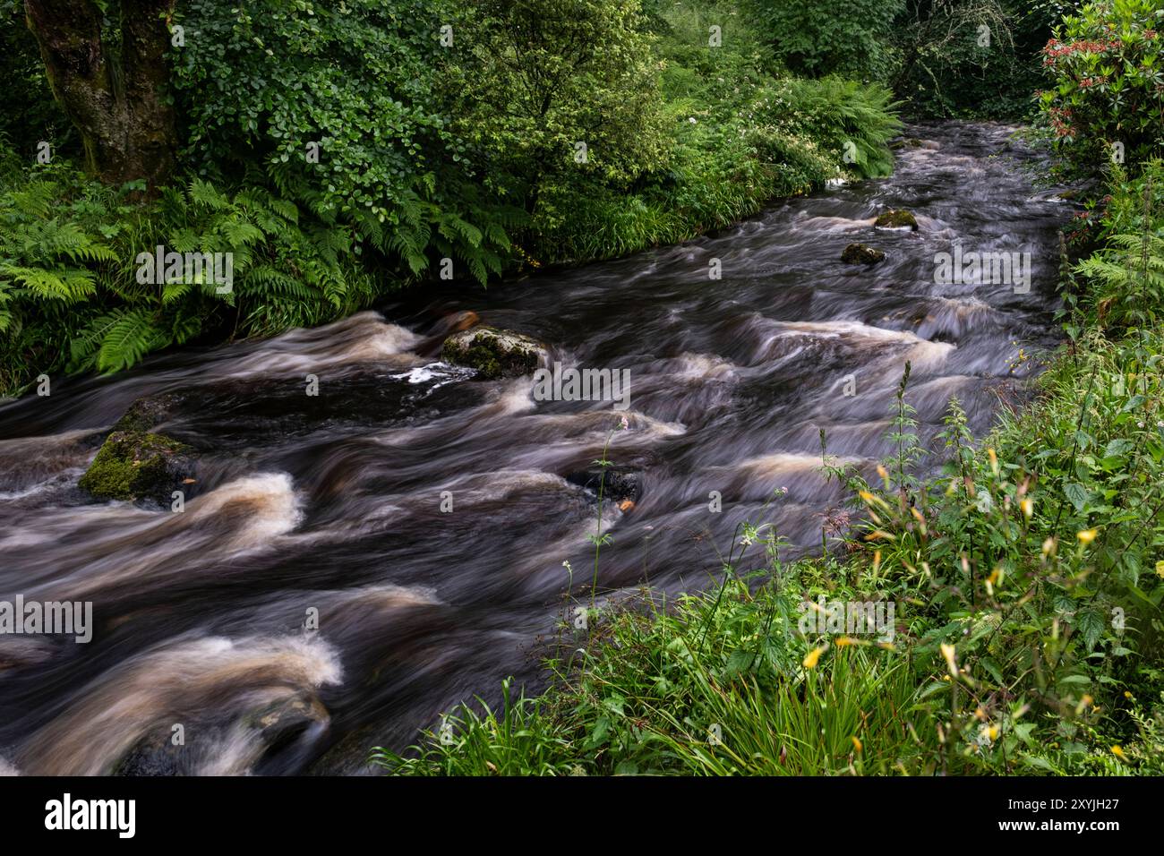 Image of mezmerising fast flowing river water, after a storm in the ...