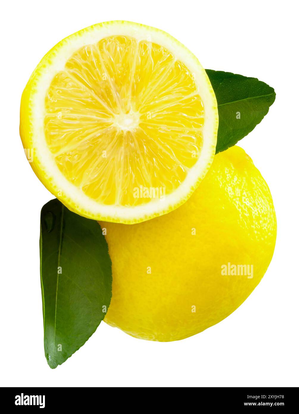 View path orange leaves Cut Out Stock Images & Pictures - Alamy