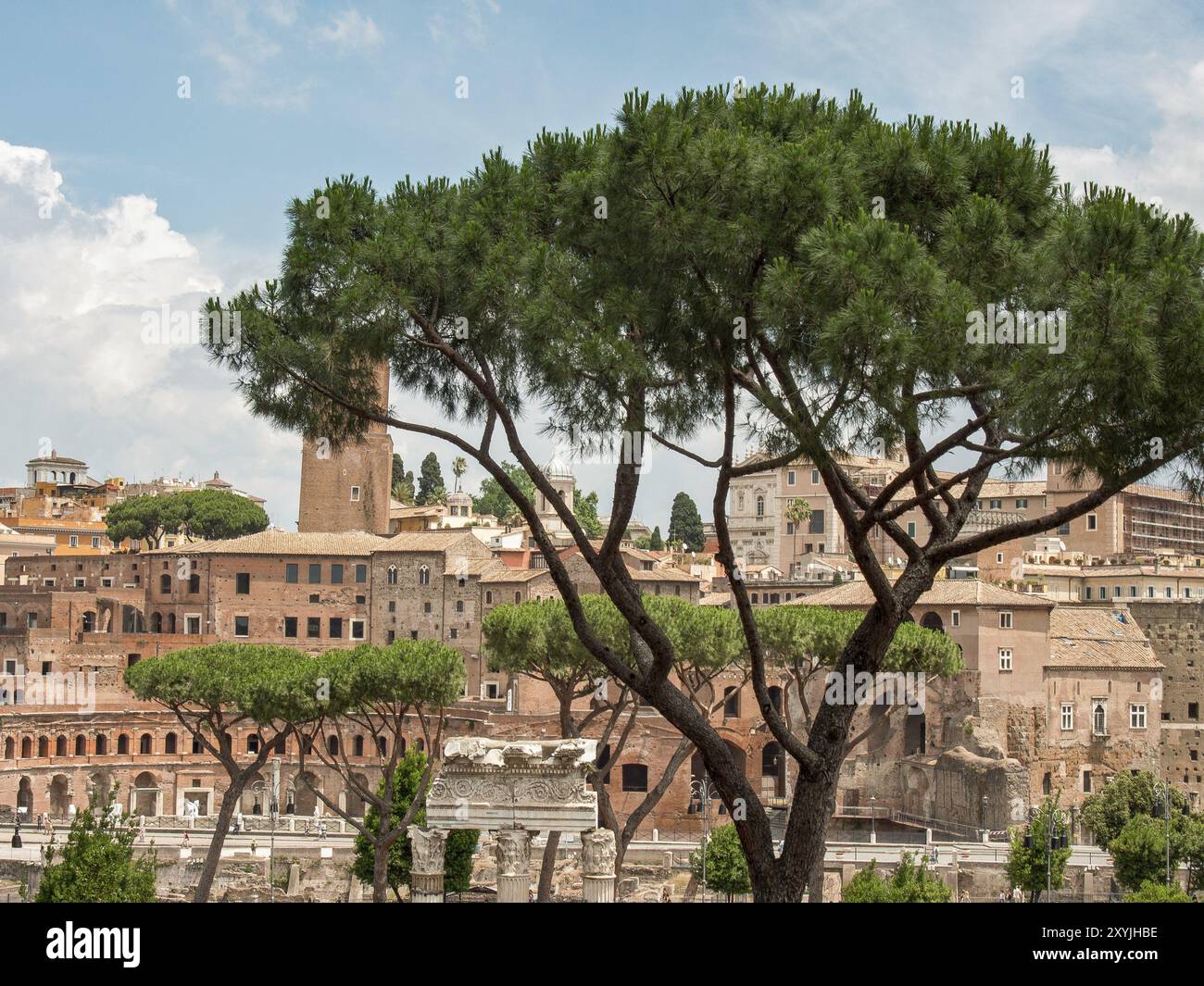 A group of trees in front of ancient Roman buildings under a cloudy sky ...