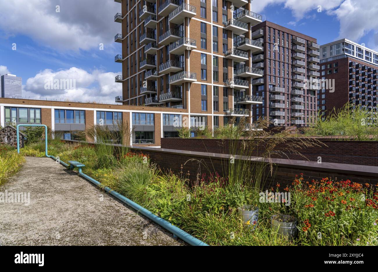 De Groene Kaap residential complex, in the Rotterdam Feijenoord ...