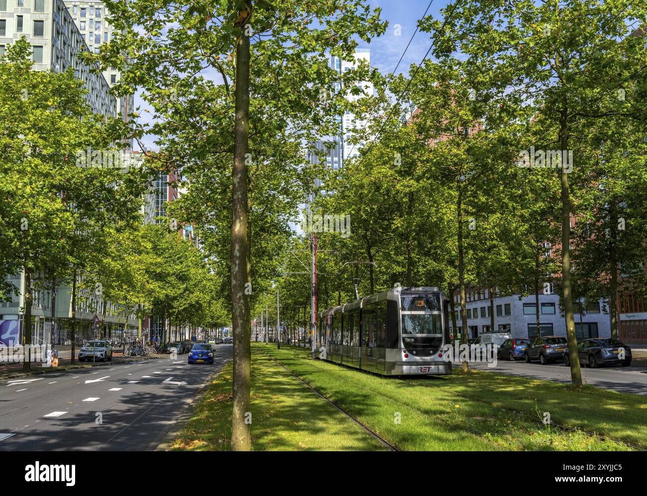 Urban greening, inner-city street Laan op Zuid, in Rotterdam's ...