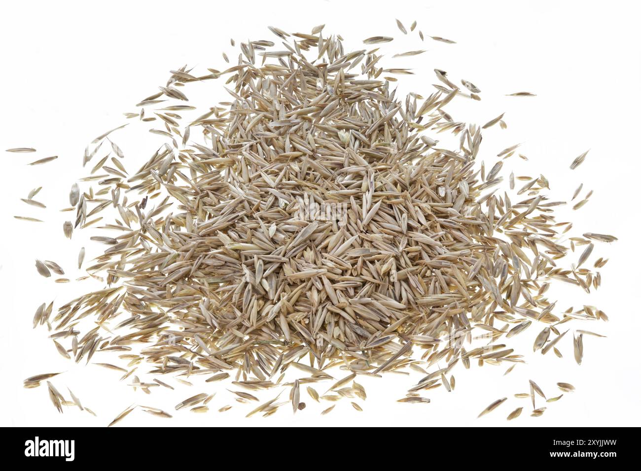 Seeding grass Cut Out Stock Images & Pictures - Alamy