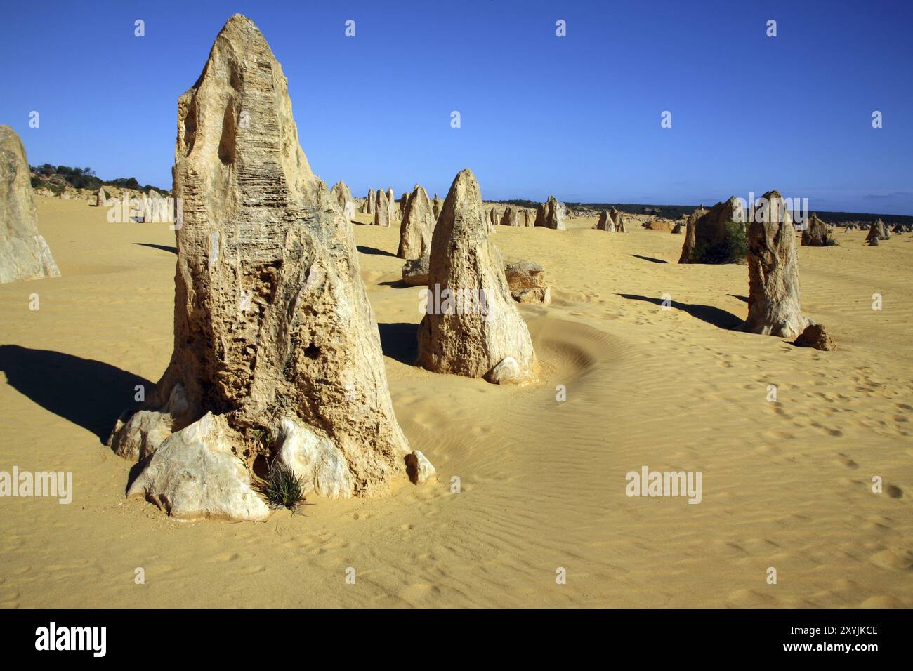 The Pinnacles limestone needles in sand Stock Photo - Alamy
