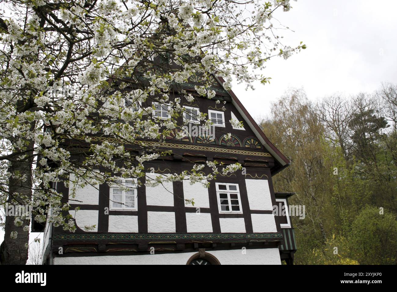 Forest and woodland museum in Heidelbeck Stock Photo - Alamy