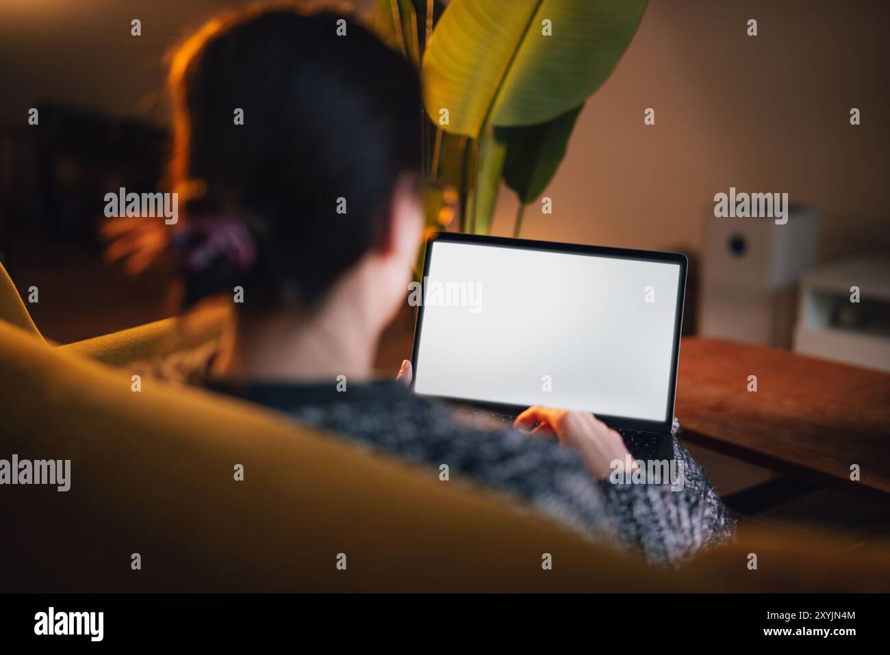 Woman sitting on a comfortable couch with laptop. Cozy home interior ...