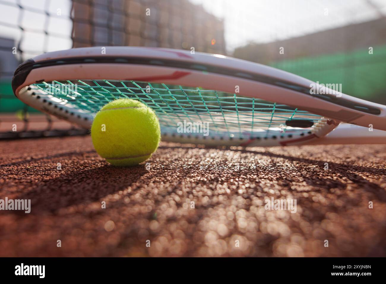 tennis ball lies under tennis racket against the background of tennis ...