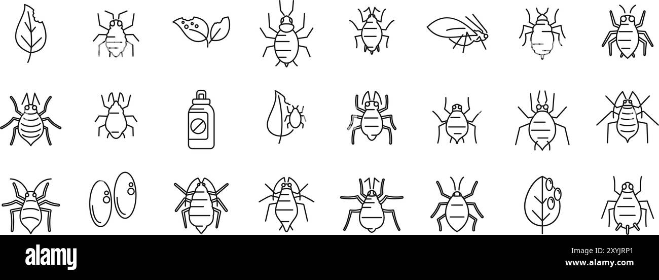 Aphid icons set. Set of simple outline icons showing different types of ...
