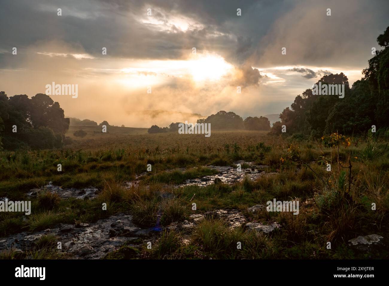 Uganda landscape sunset hi-res stock photography and images - Alamy
