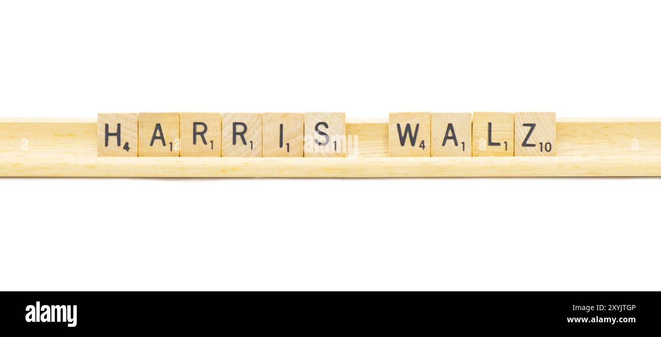 Miami, Florida 8-28-24 HARRIS WALZ made with square wooden tile English ...