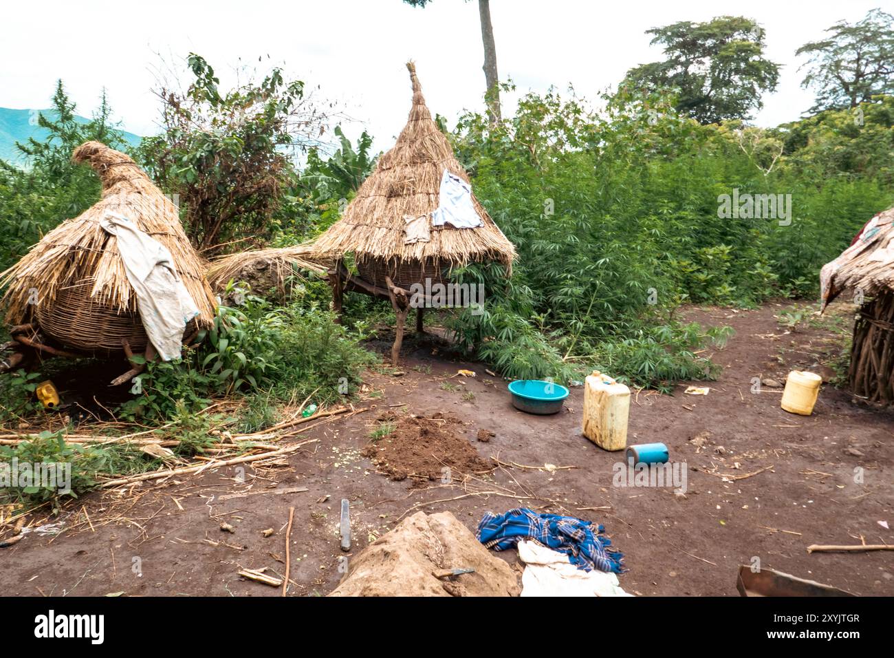Scenic view of So Tepeth tribal village against the background of Mount ...