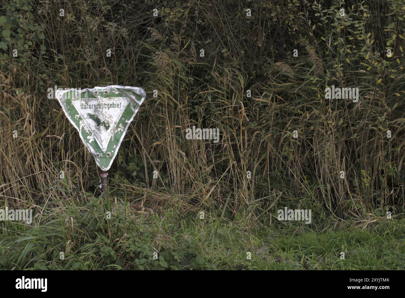 Corrupted nature hi-res stock photography and images - Alamy