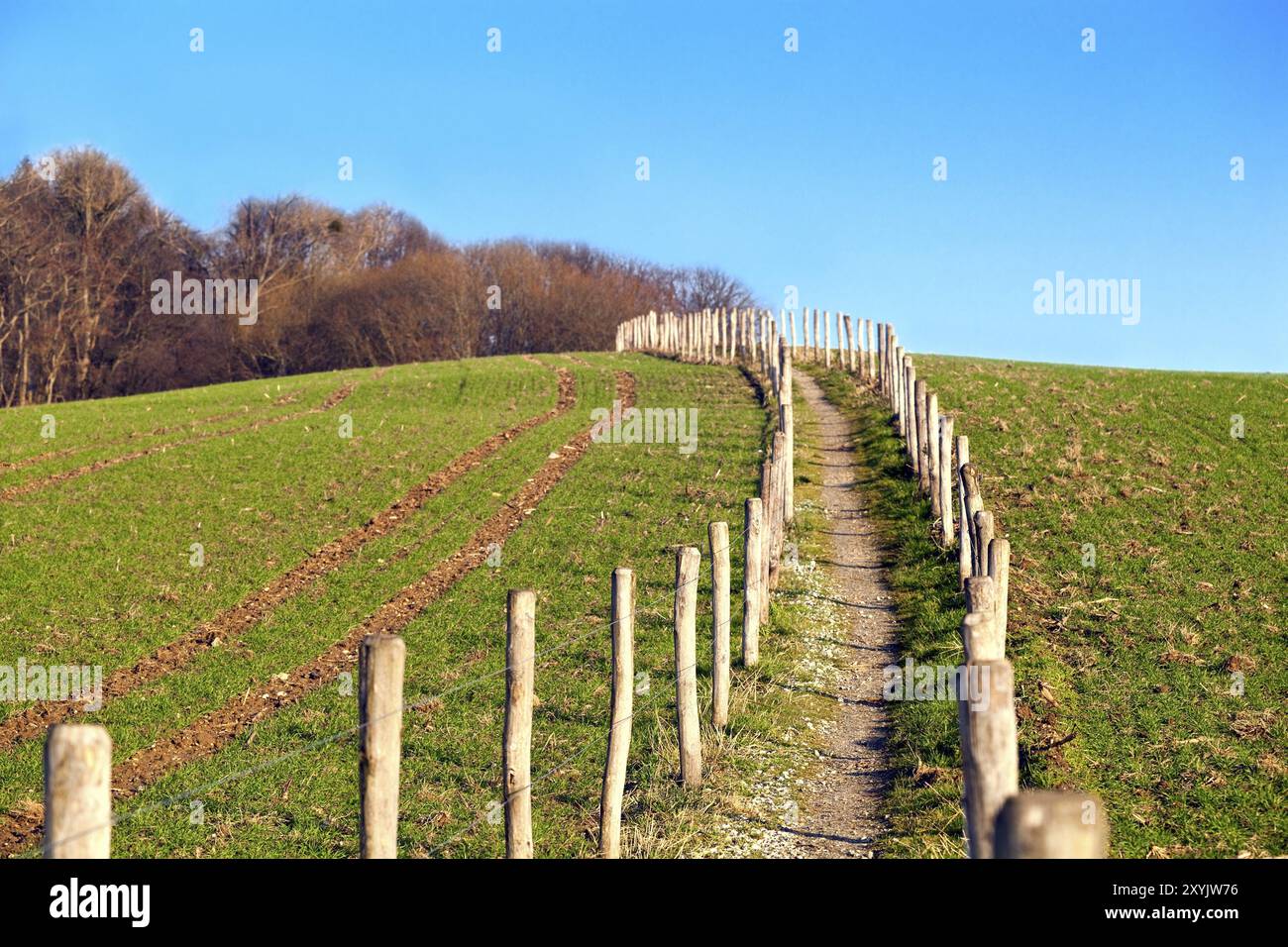 Path with wooden fence leads to the hill top Stock Photo - Alamy
