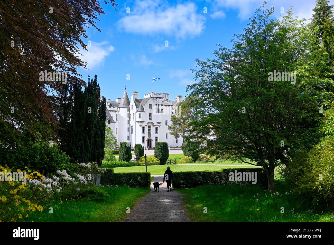 Woman walking aDog in the grounds of Blair Atholl Castle on a Spring ...