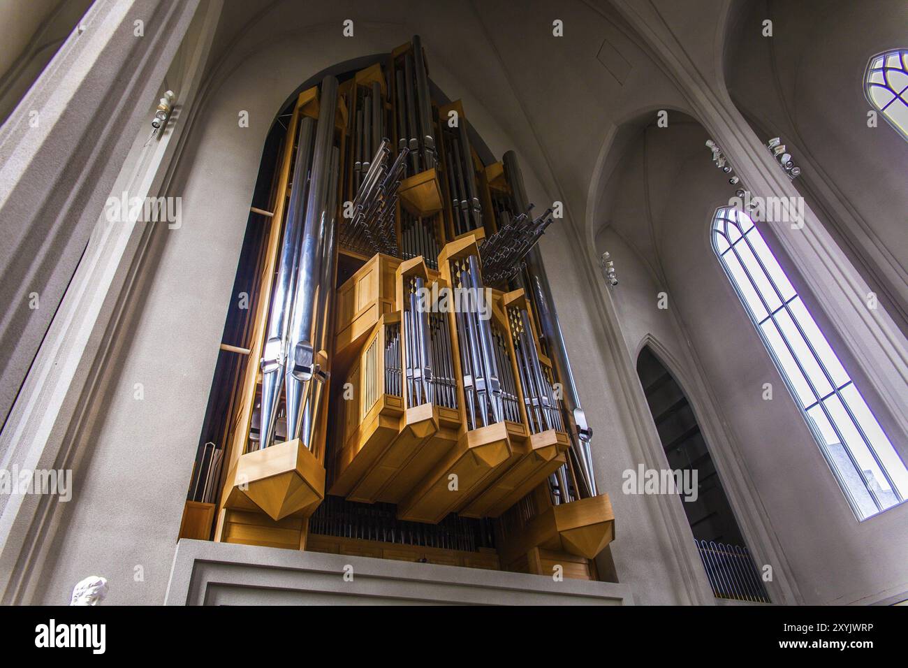 Frog organs hi-res stock photography and images - Alamy