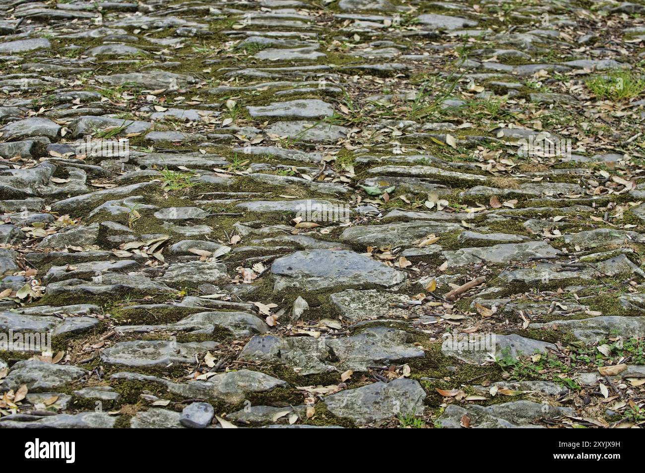 Cobblestone, pebble stone 04 Stock Photo - Alamy