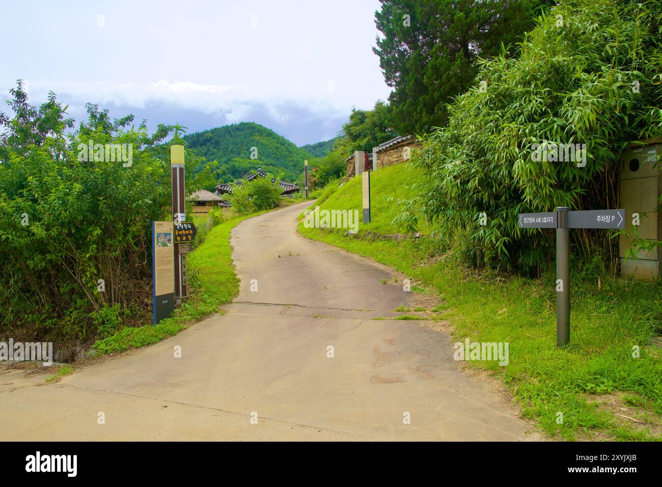 Goseong County, South Korea - July 28th, 2024: A quiet path leads into ...