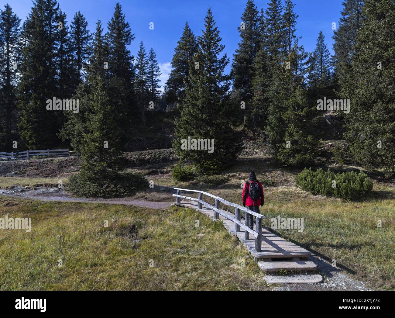 Hiking from the Kreuzberg Pass to the Nemes Alm, South Tyrol Stock ...
