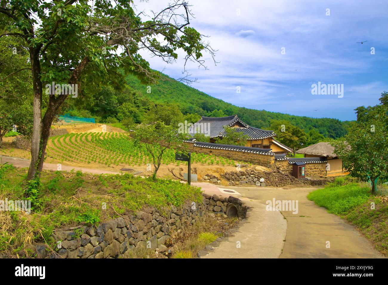 Goseong County, South Korea - July 28th, 2024: A peaceful pathway winds ...