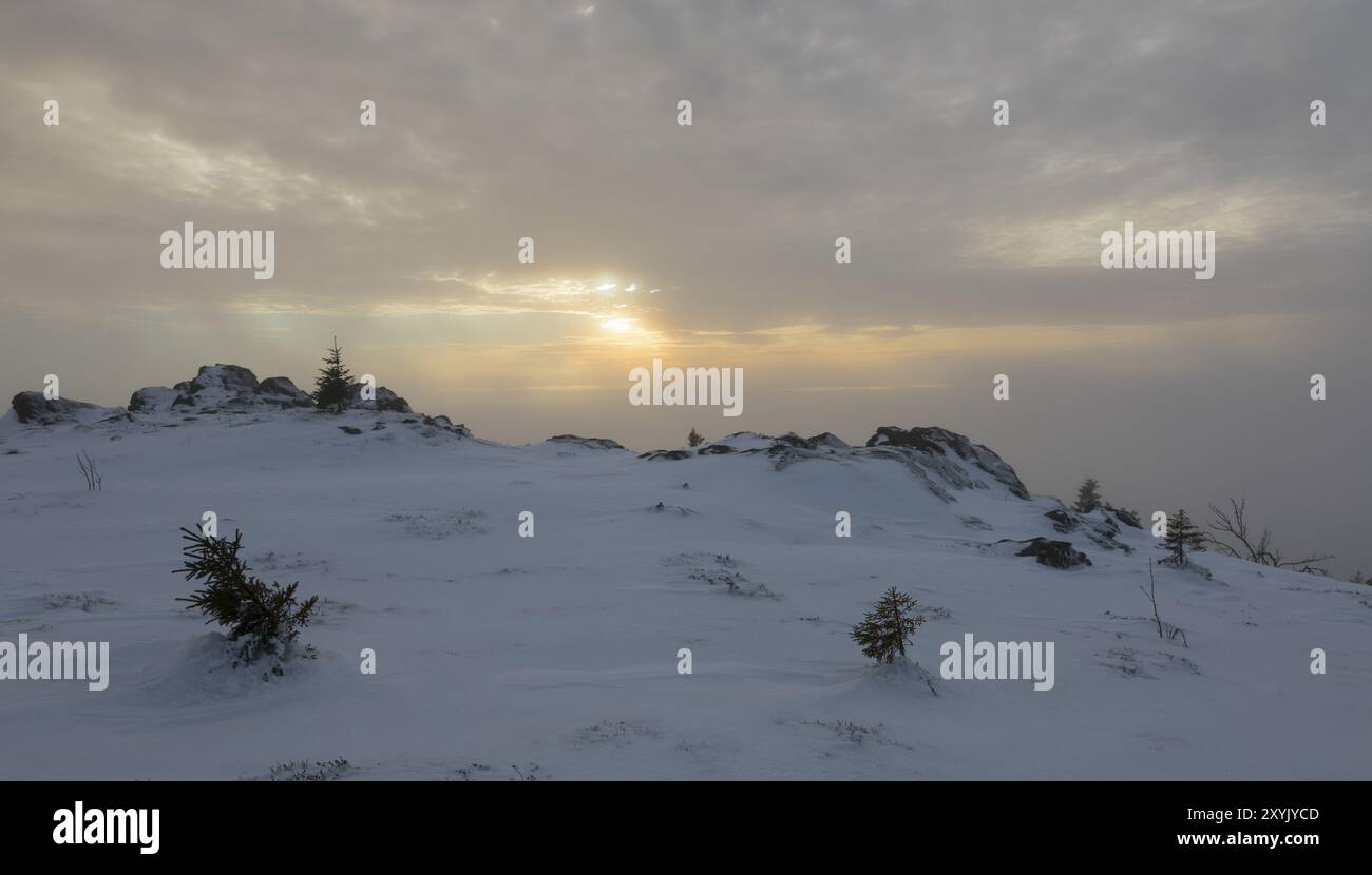 Großen arber hi-res stock photography and images - Alamy