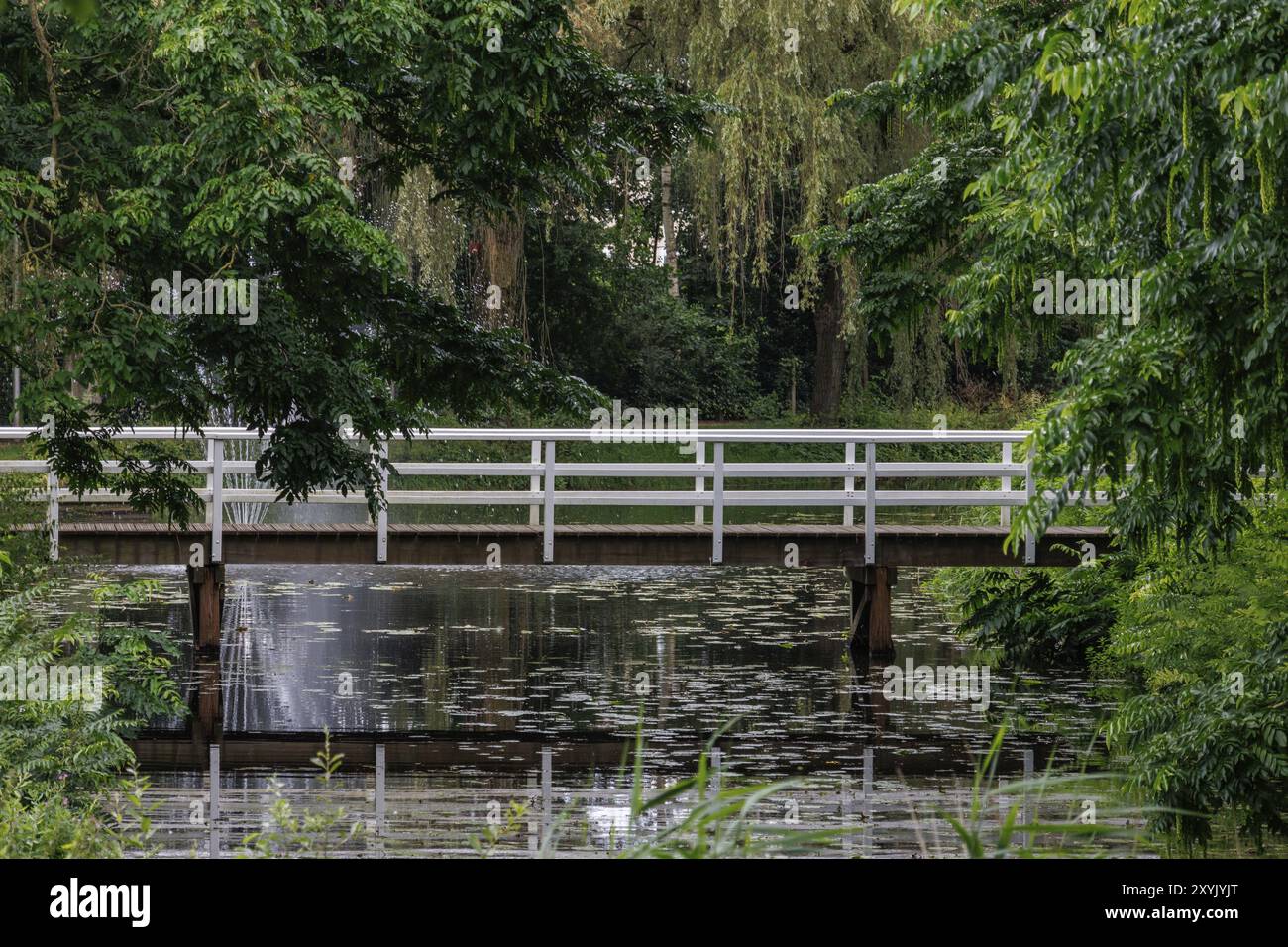 Bridge over a pond of water lilies hi-res stock photography and images ...