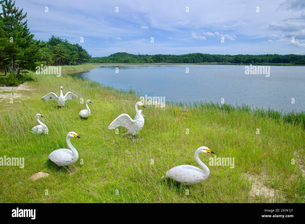 Goseong County, South Korea - July 28th, 2024: A group of swan statues ...