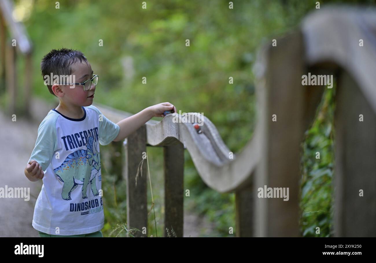 Child, boy aged 5, multi-ethnic, playing with marbles on XXL marble run ...