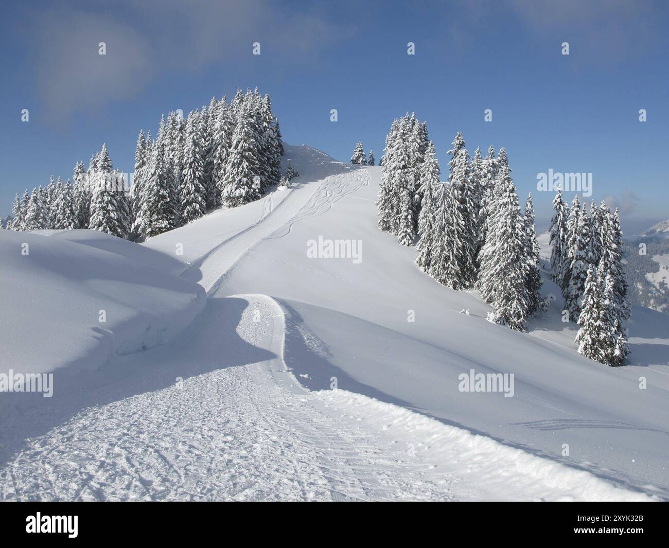 Ski slope one tree hi-res stock photography and images - Alamy