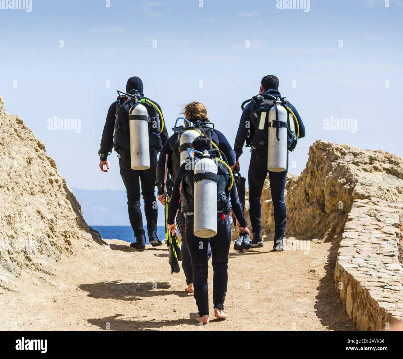 Scuba diver swims dives hi-res stock photography and images - Alamy