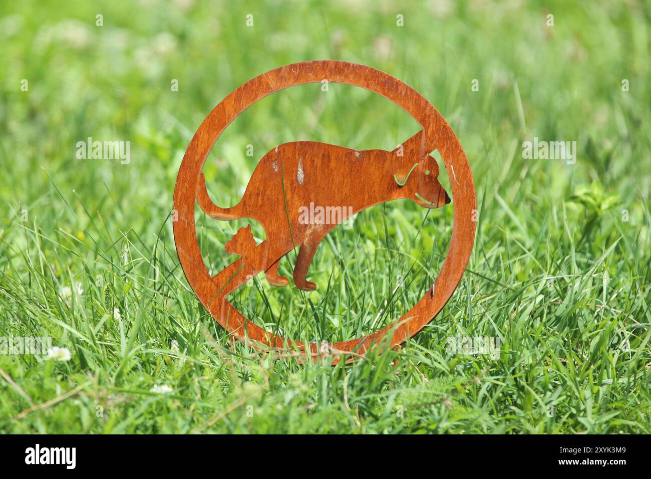 No dog pooping prohibition sign isolated on rusty metallic plate ...