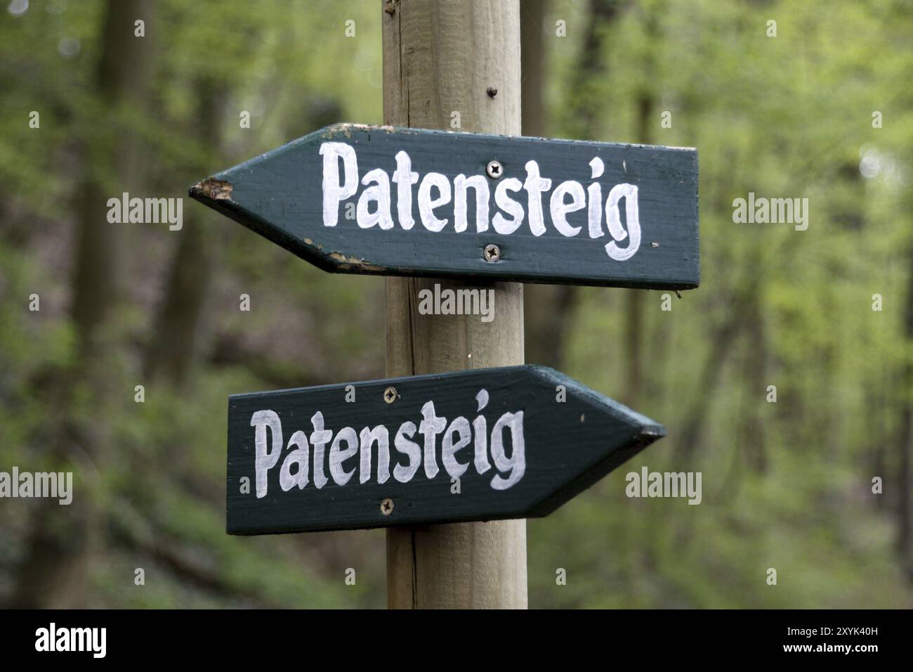 The Patensteig trail in Extertal Stock Photo - Alamy