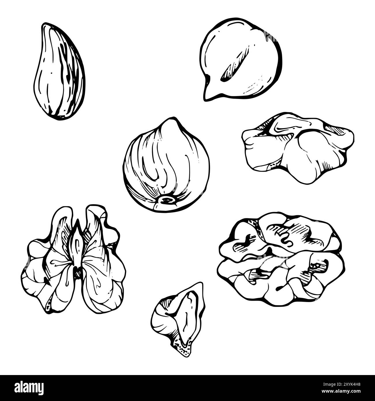 Nuts mix, full, halved walnut almond hazelnut diet, healthy lifestyle ...