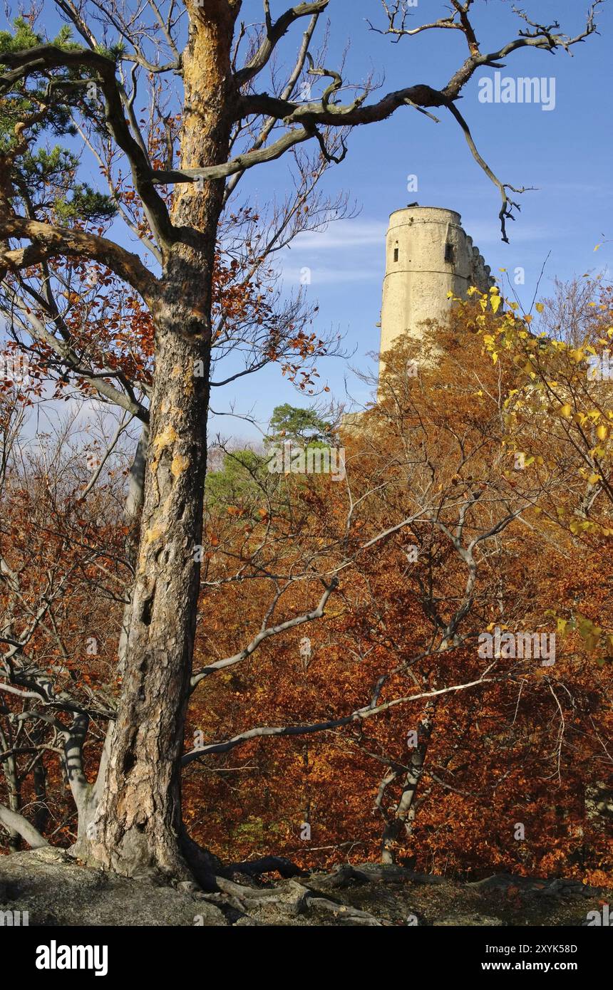 Kynast castle hi-res stock photography and images - Alamy