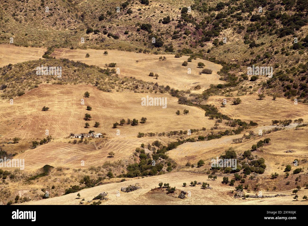 Typical autumn landscape in Andalucia, Spain (close to Montecorto Stock ...