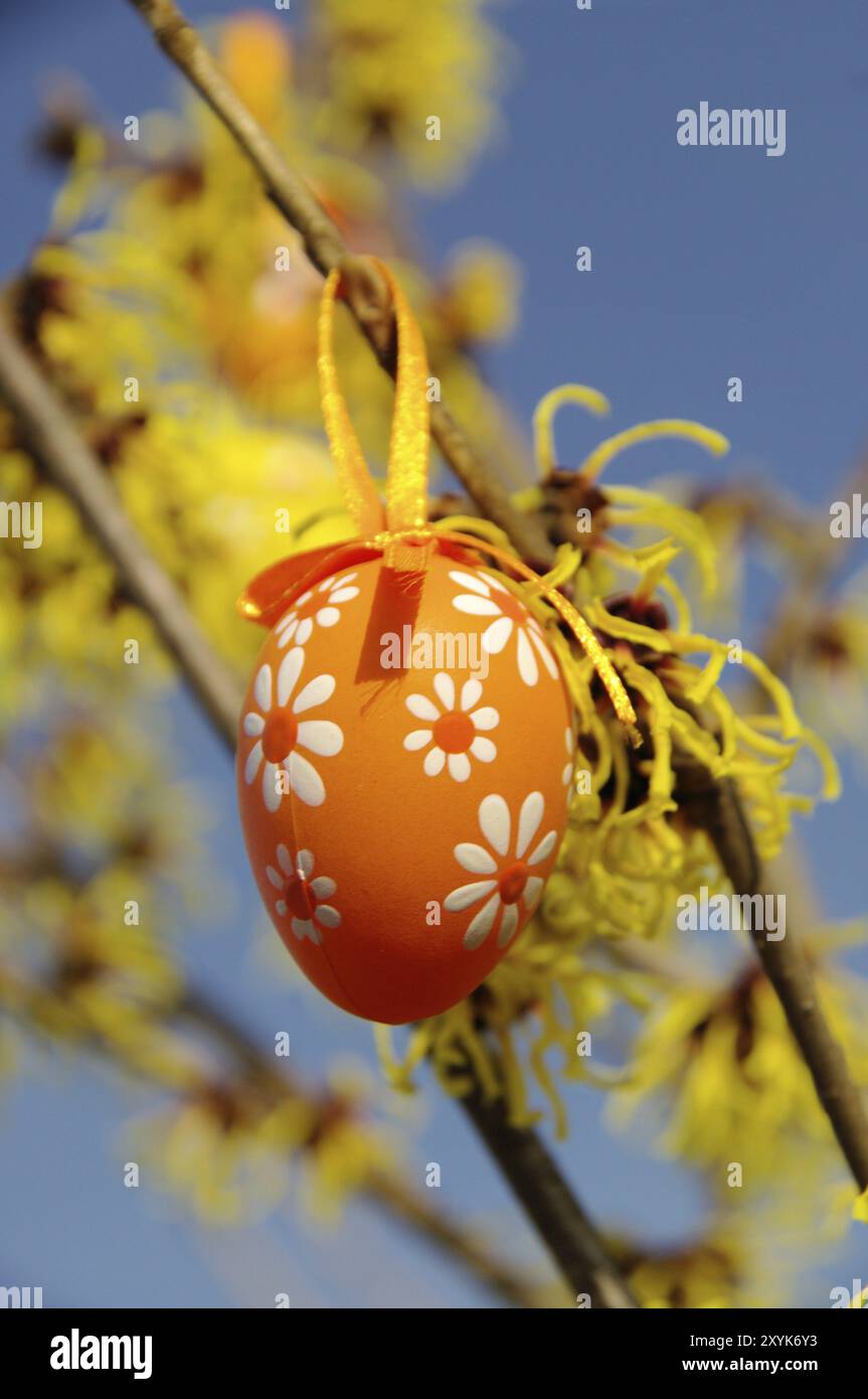 First blossoming shrub hi-res stock photography and images - Alamy