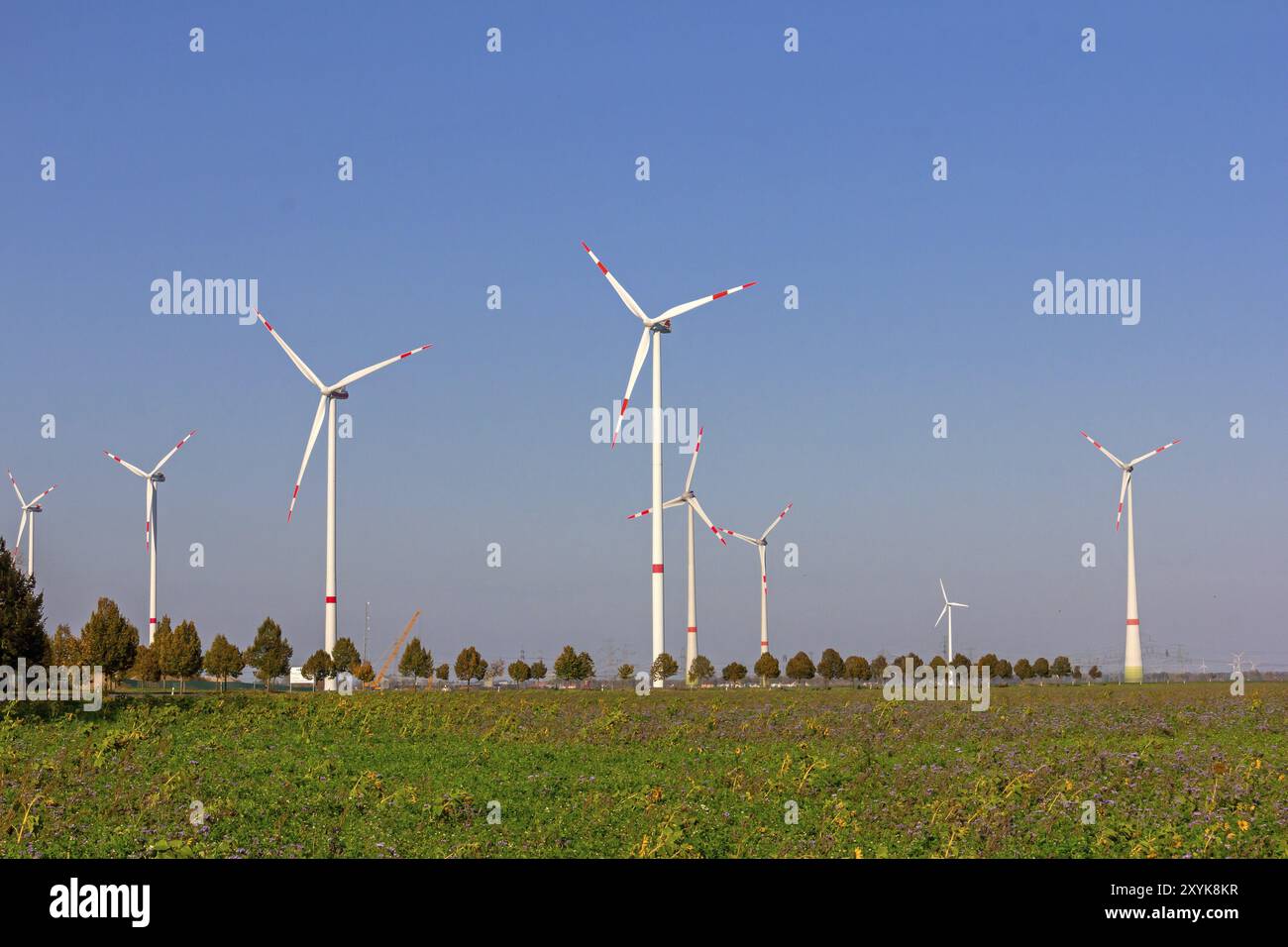 Windy country lanes hi-res stock photography and images - Alamy