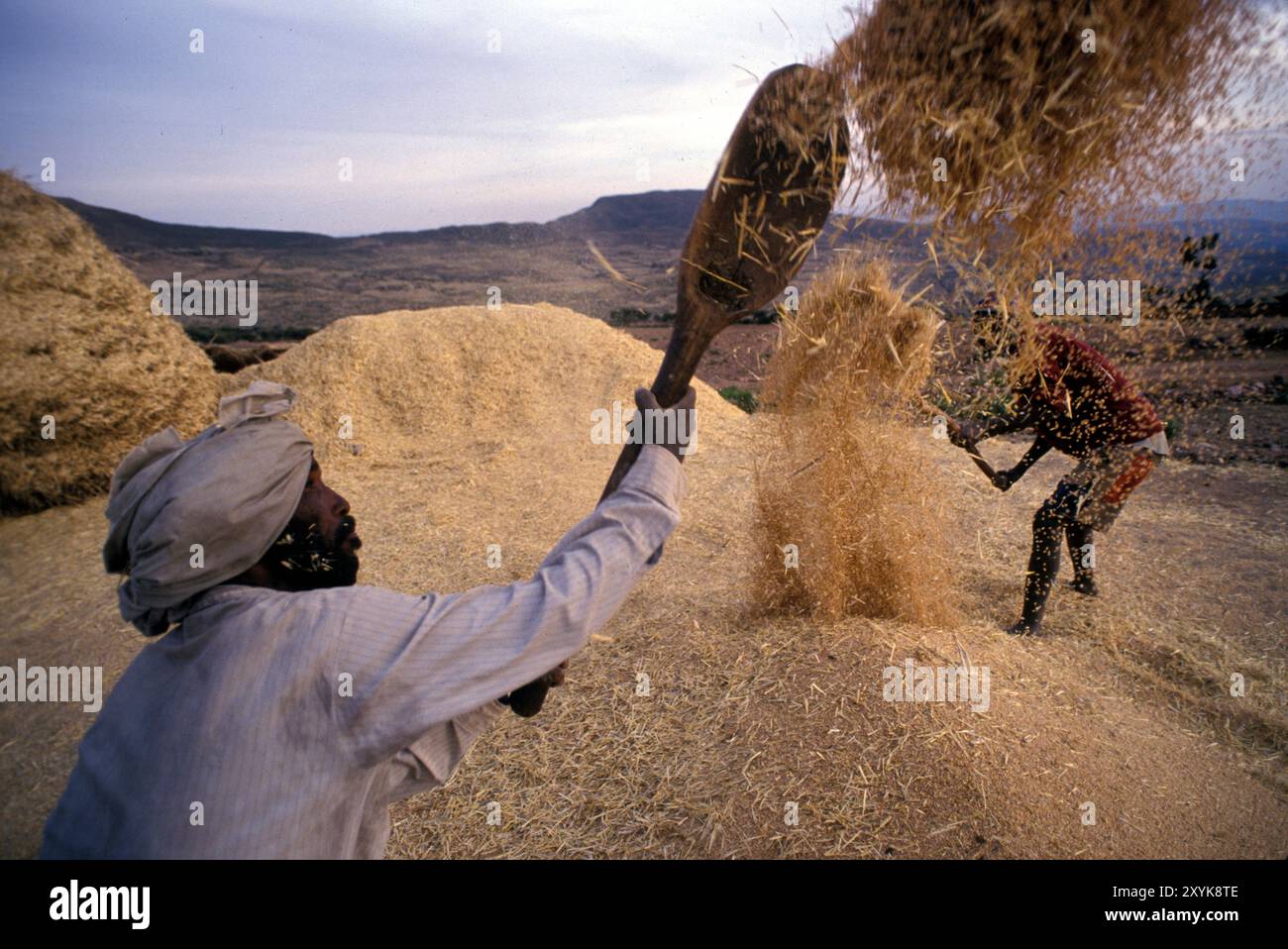 Ethiopia tigray agriculture hi-res stock photography and images - Alamy