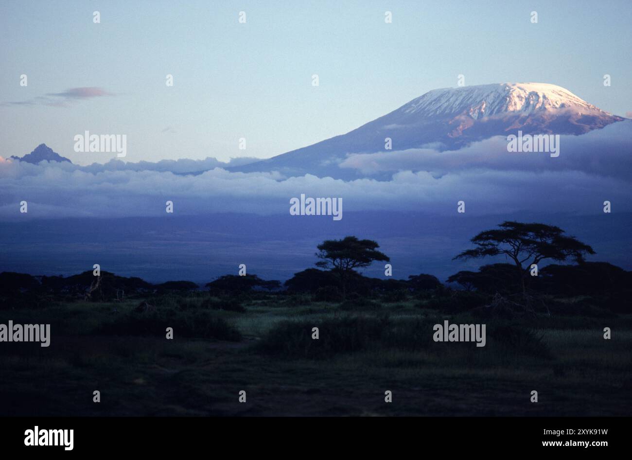 Mt. Kilimanjaro seen from Amboseli National Park, Kenya Stock Photo - Alamy